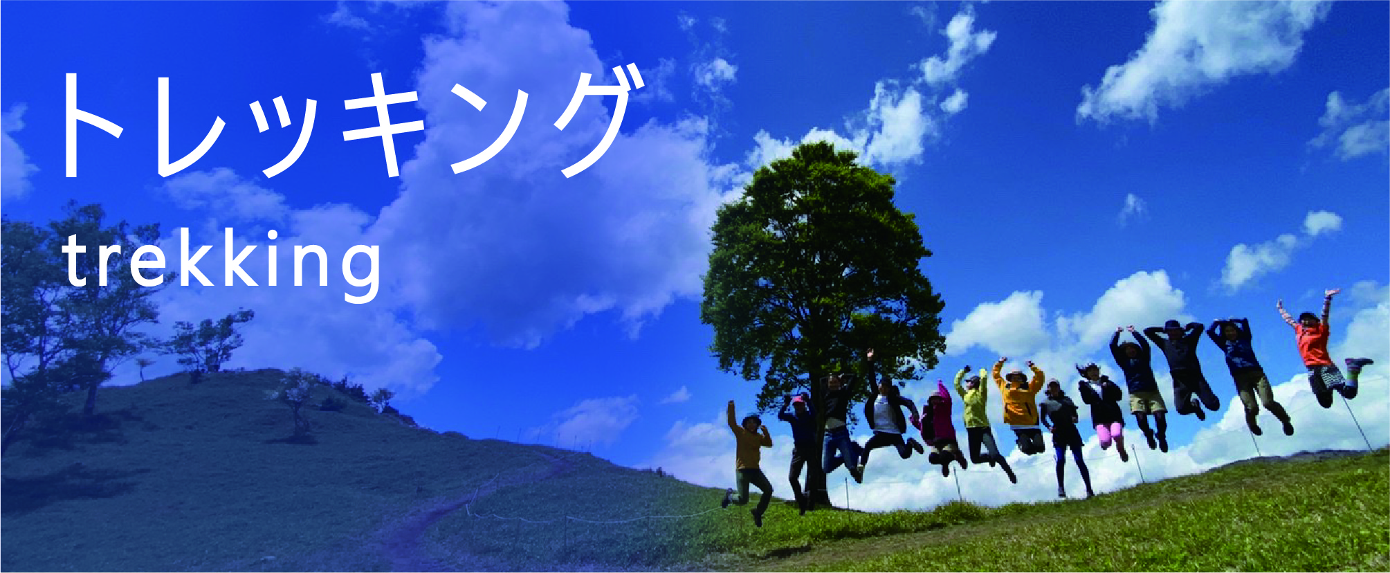 Early Bird Adventure