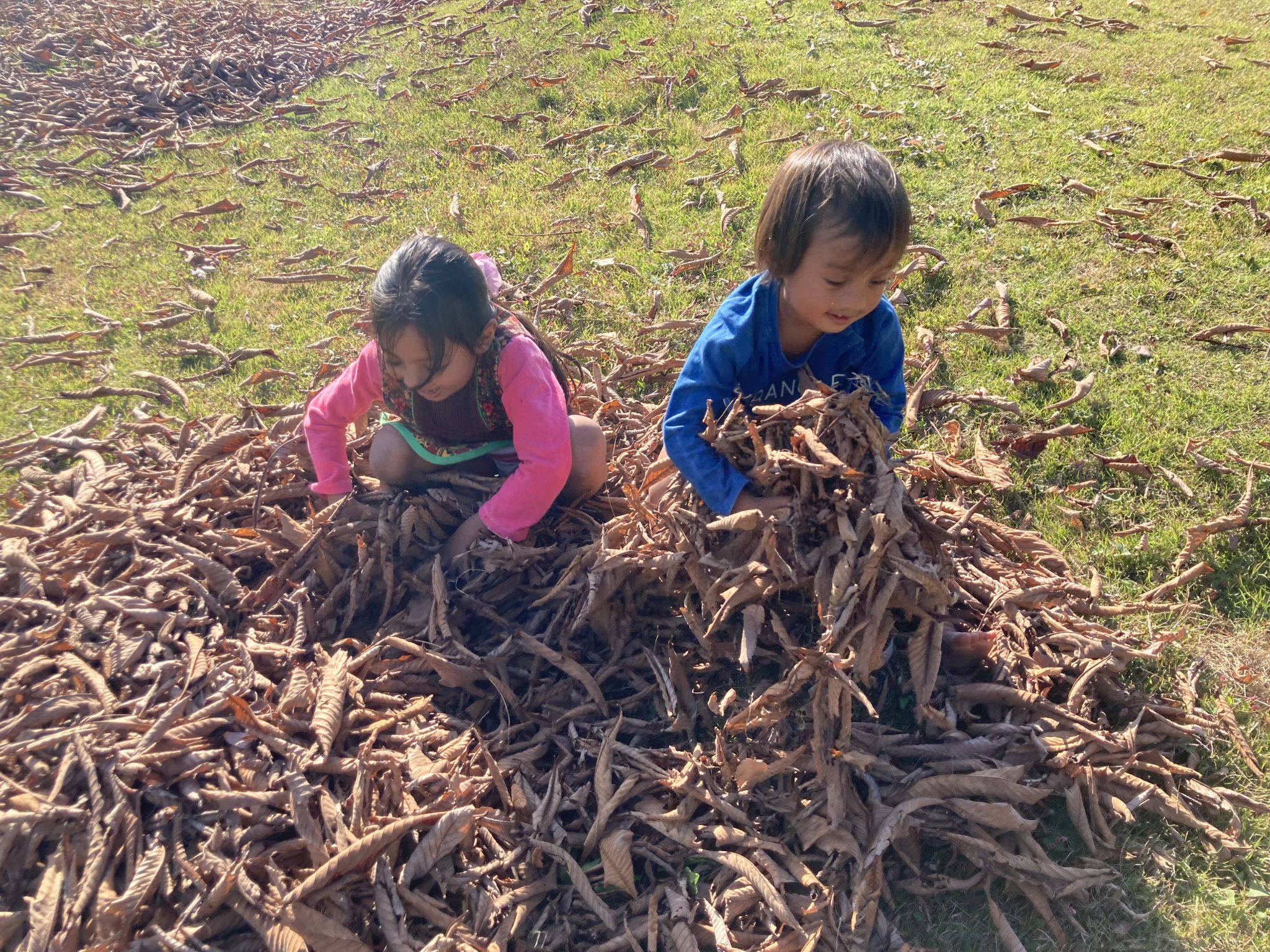 Early Bird Adventure Kids Academy -1st-Children are very energetic!Let ...