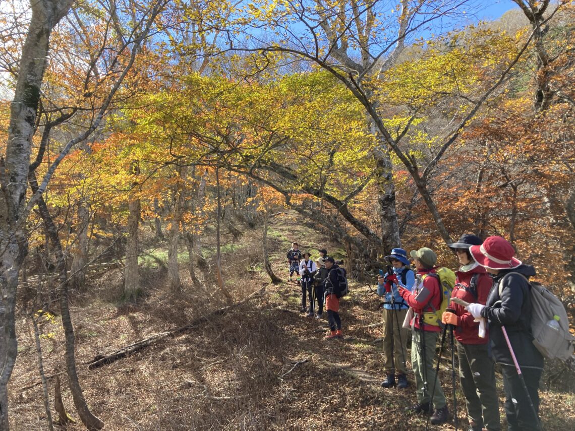 Adventure Trekking in Takaharayama – Early Bird Adventure