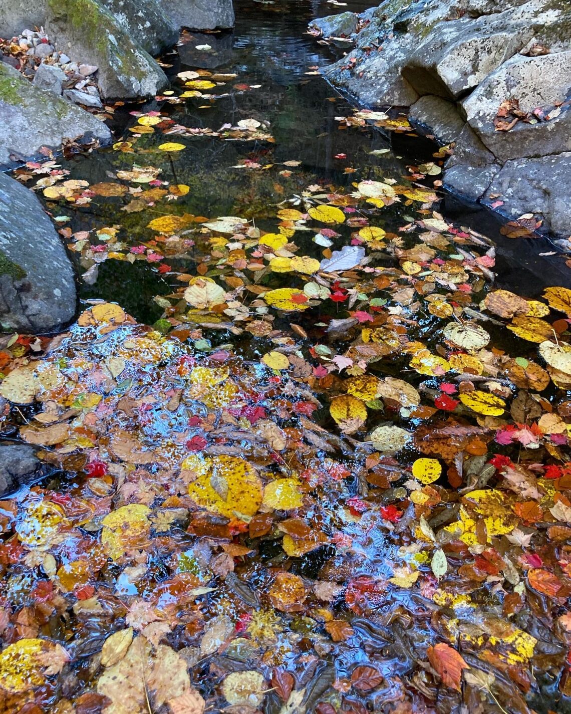 Adventure Trekking in Takaharayama – Early Bird Adventure