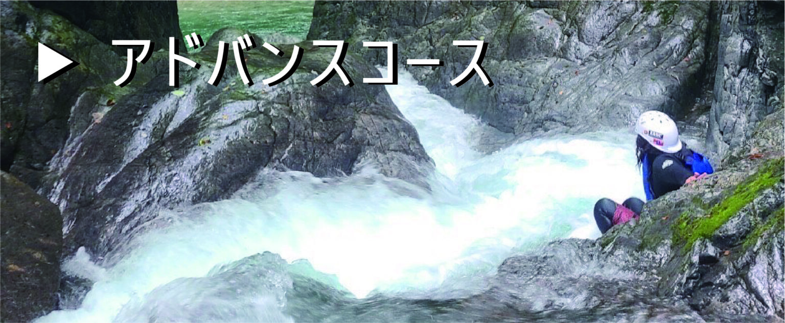 Early Bird Adventure