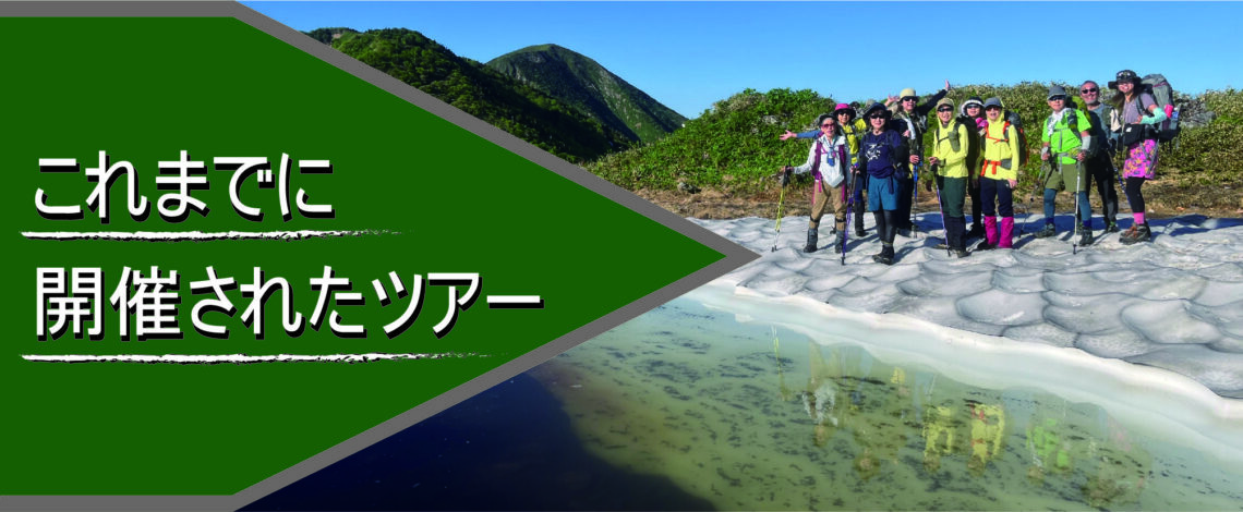 Early Bird Adventure