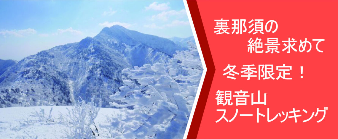 Early Bird Adventure