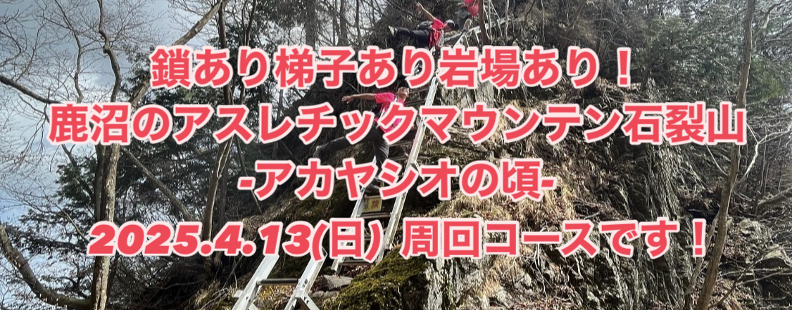 Early Bird Adventure