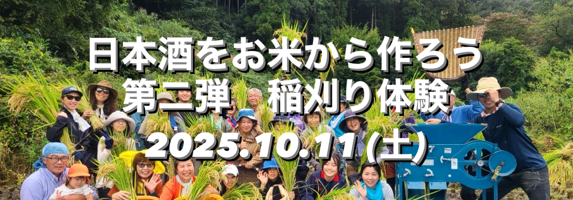 Early Bird Adventure